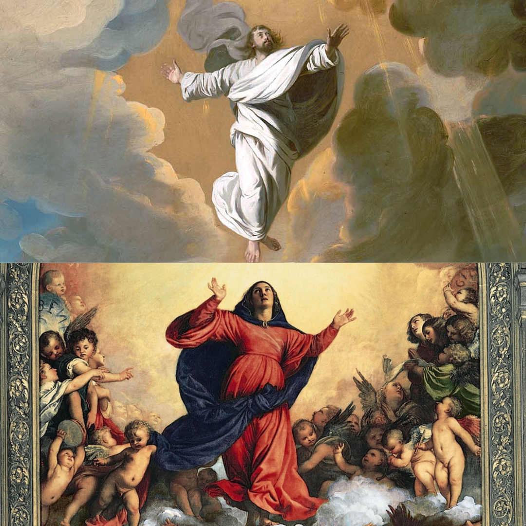 The Ascension Of Mary