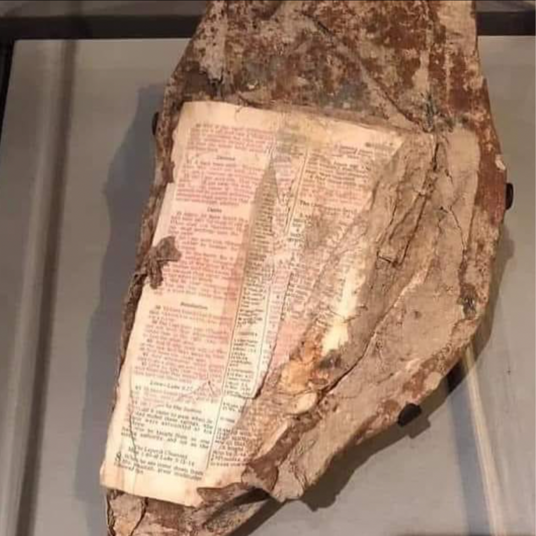 Mass & Confession Times - National Shrine of Our Lady La Salette ...