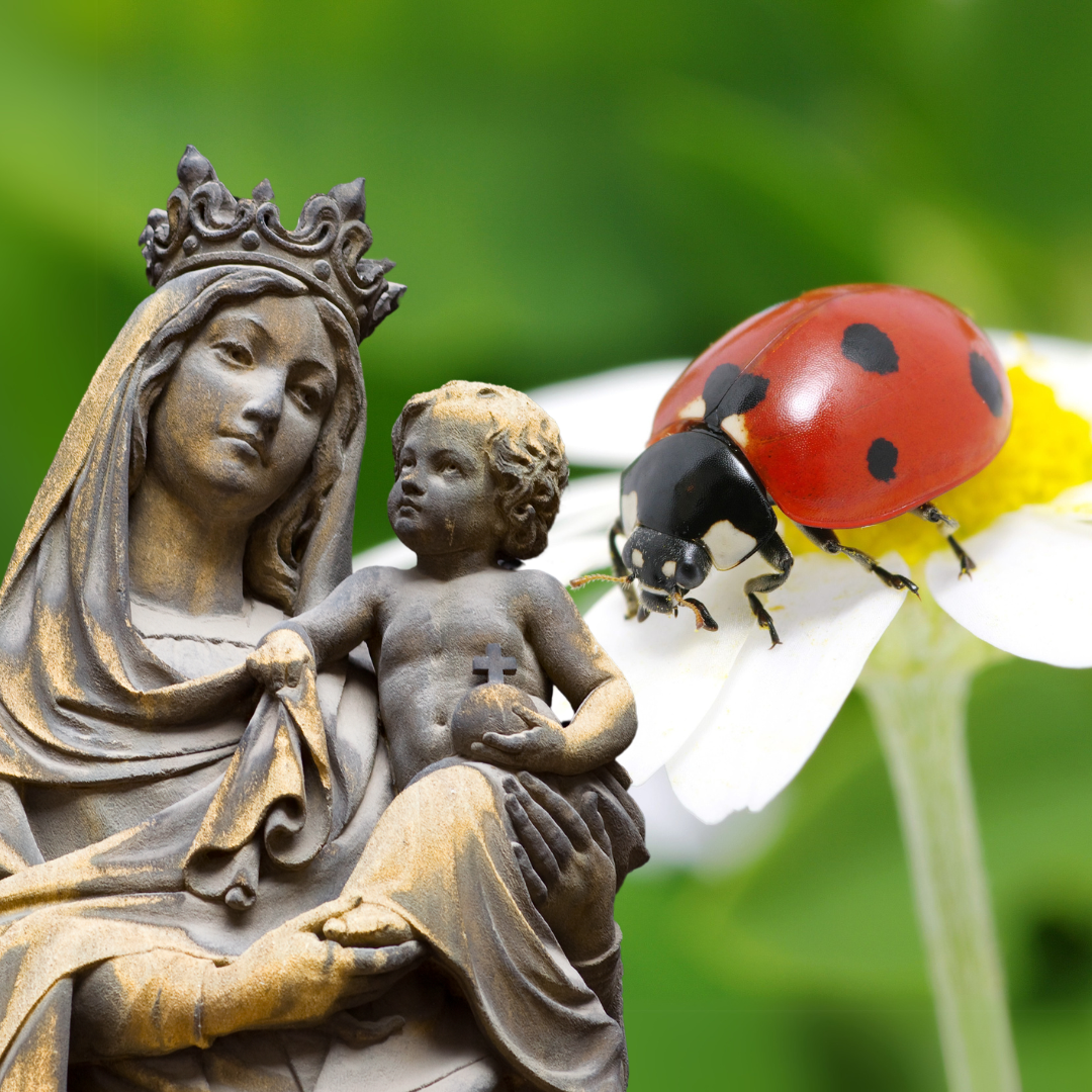 Authentic Femininity Retreat - Covenant Teen - Amarillo, TX