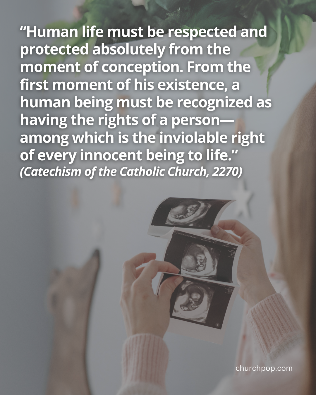 Life Begins at Conception! What the Catechism Says About Abxrtion in 4 ...