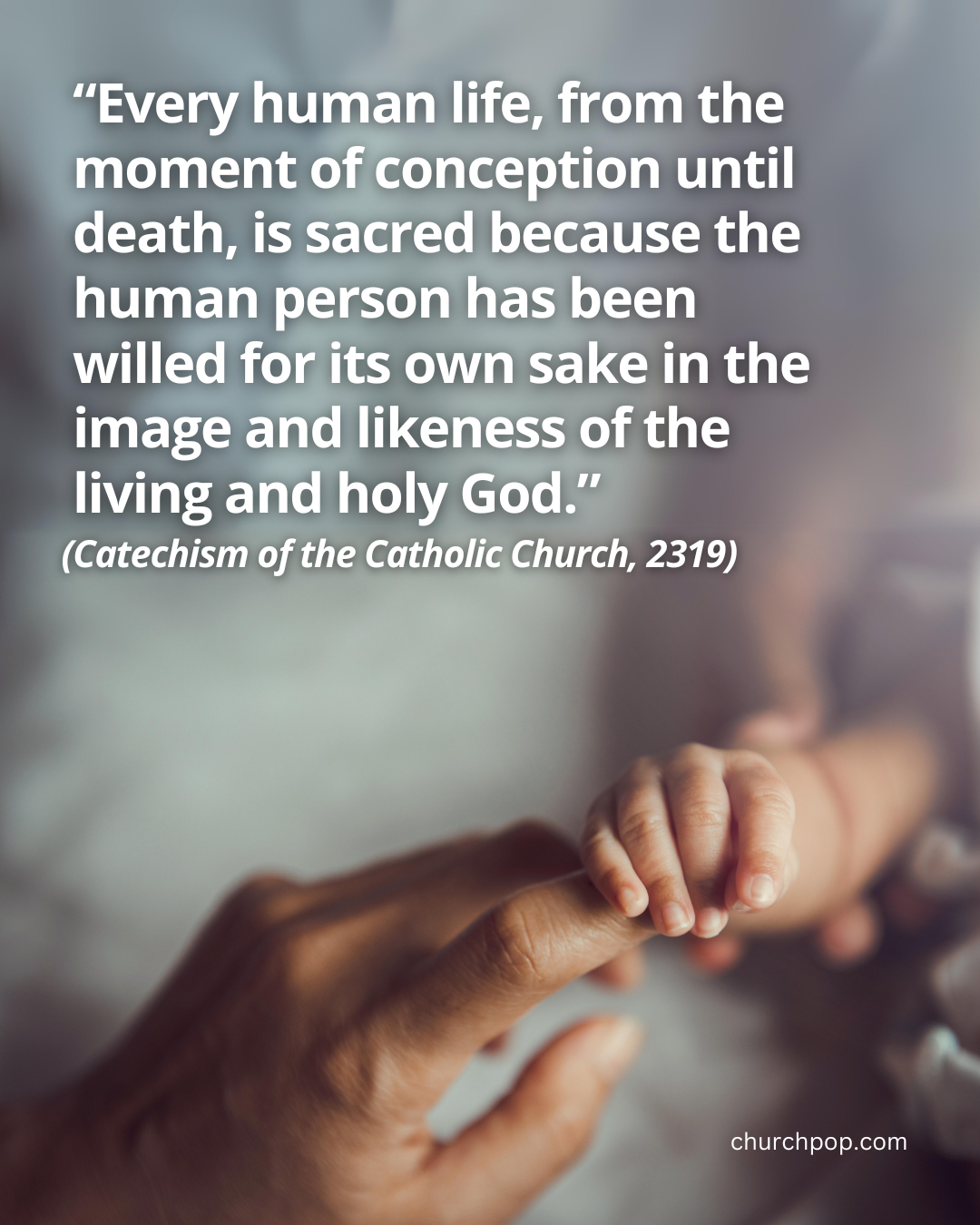Life Begins at Conception! What the Catechism Says About Abxrtion in 4 ...
