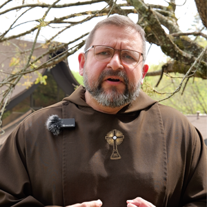 Ladybug Symbolism: The Catholic Way the Insect Got Its Name