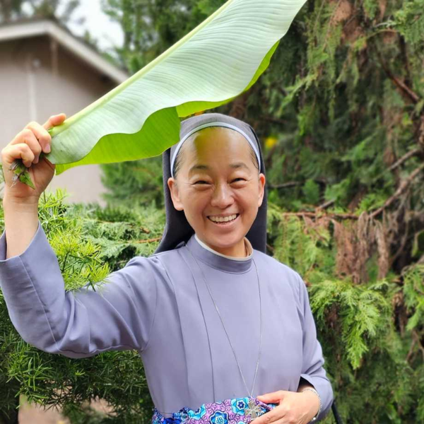 4 Simple Ways to Gain a Plenary Indulgence in Your Daily Life