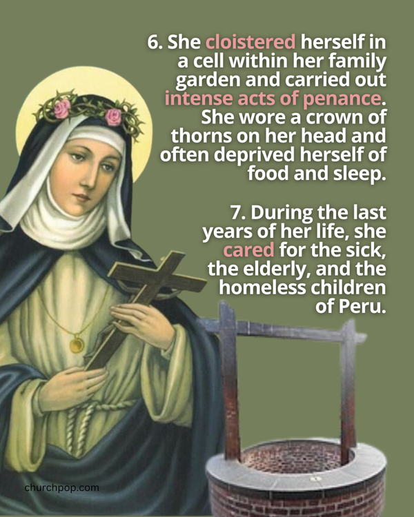 7 Things to Know About the Beautiful Saint Rose of Lima, Patroness of ...