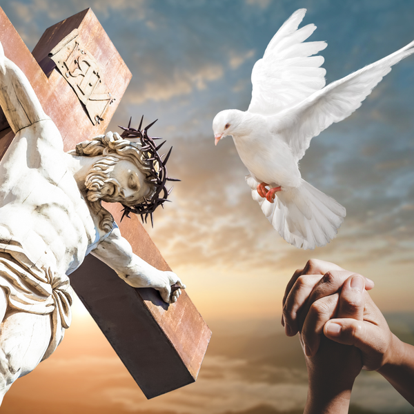 4 Simple Ways to Gain a Plenary Indulgence in Your Daily Life
