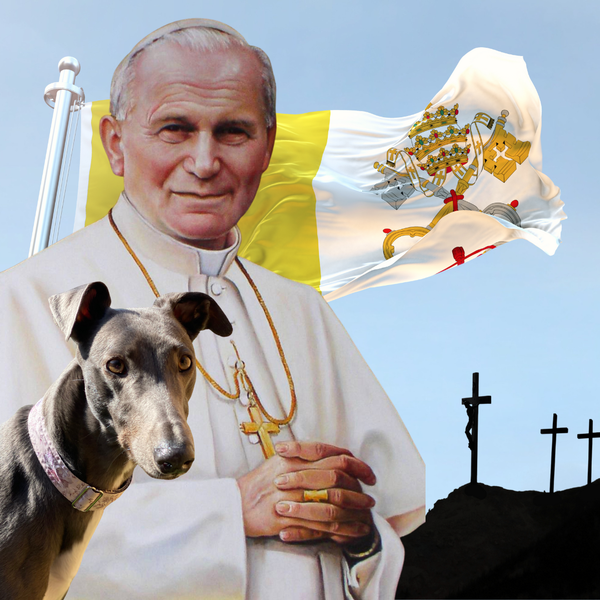 Sit, Stand, Kneel: The Symbolic Meaning of All that Moving at Mass!