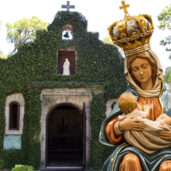 Ladybug Symbolism: The Catholic Way the Insect Got Its Name