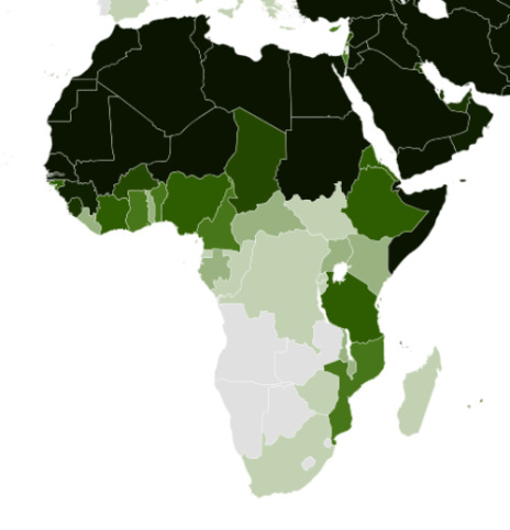 12 Hopeful Maps & Graphs of Religion in Africa