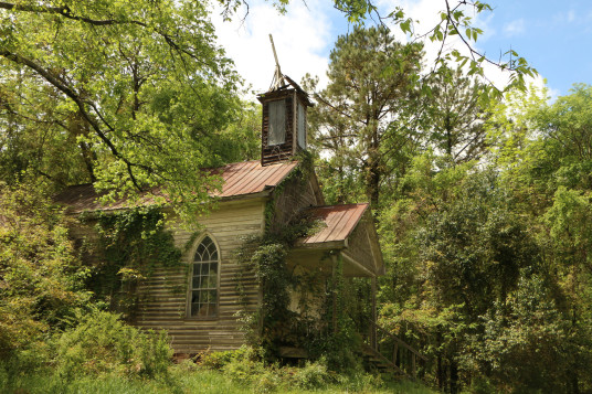 21 Hauntingly Beautiful Photos of Churches Overgrown with Vegetation