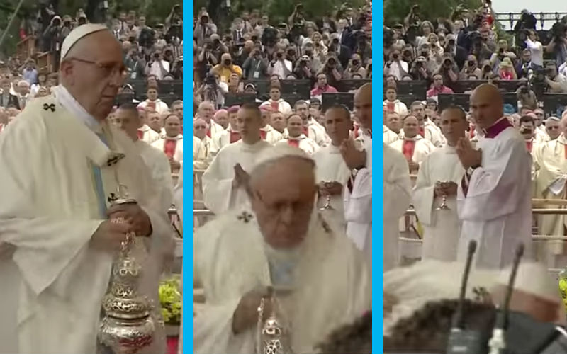 Our 79-Year-Old Holy Father Fell During Mass This Morning!