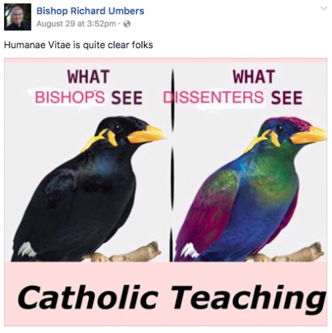 The Meme-Sharing Bishop: Why You Should Follow Bishop Umbers of Sydney
