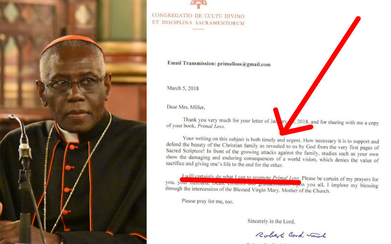 In Surprise Move, Cardinal Sarah Endorses Self-Published Book on Harms ...