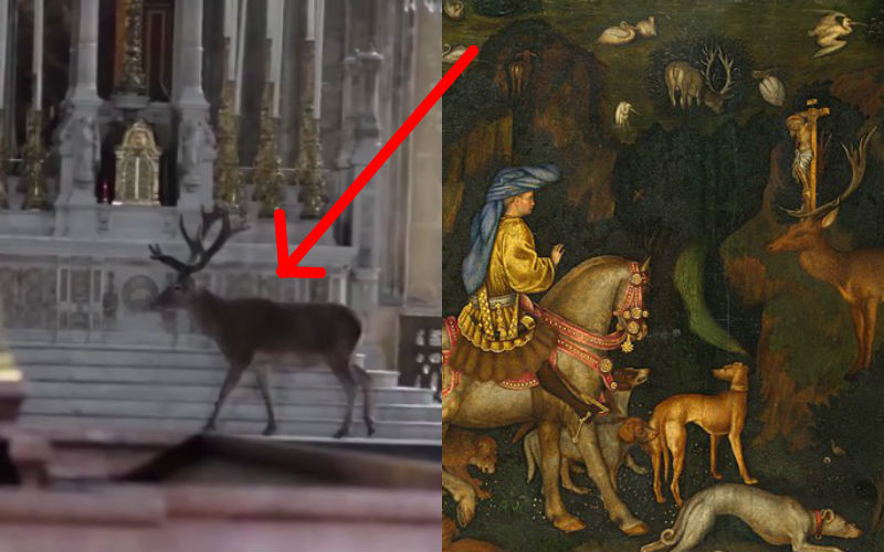 Wild Deer Wanders Inside Church of Patron Saint of Deer Hunting in ...