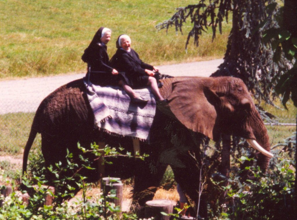 The Joy of These Two Religious Sisters Riding an Elephant Will ...
