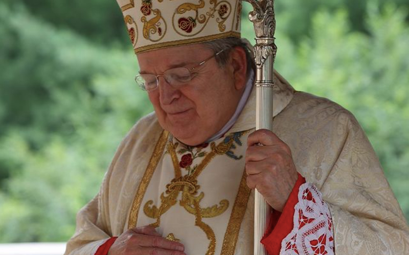 Cardinal Burke Writes Letter of Gratitude & Health Update Amid Recovery ...
