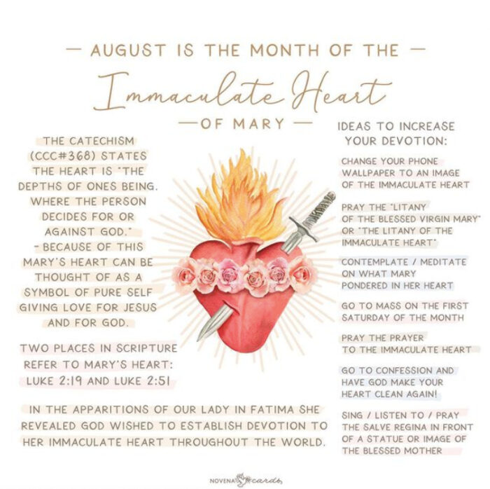 August is the Month of the Immaculate Heart of Mary - Here's 7 Ways to ...